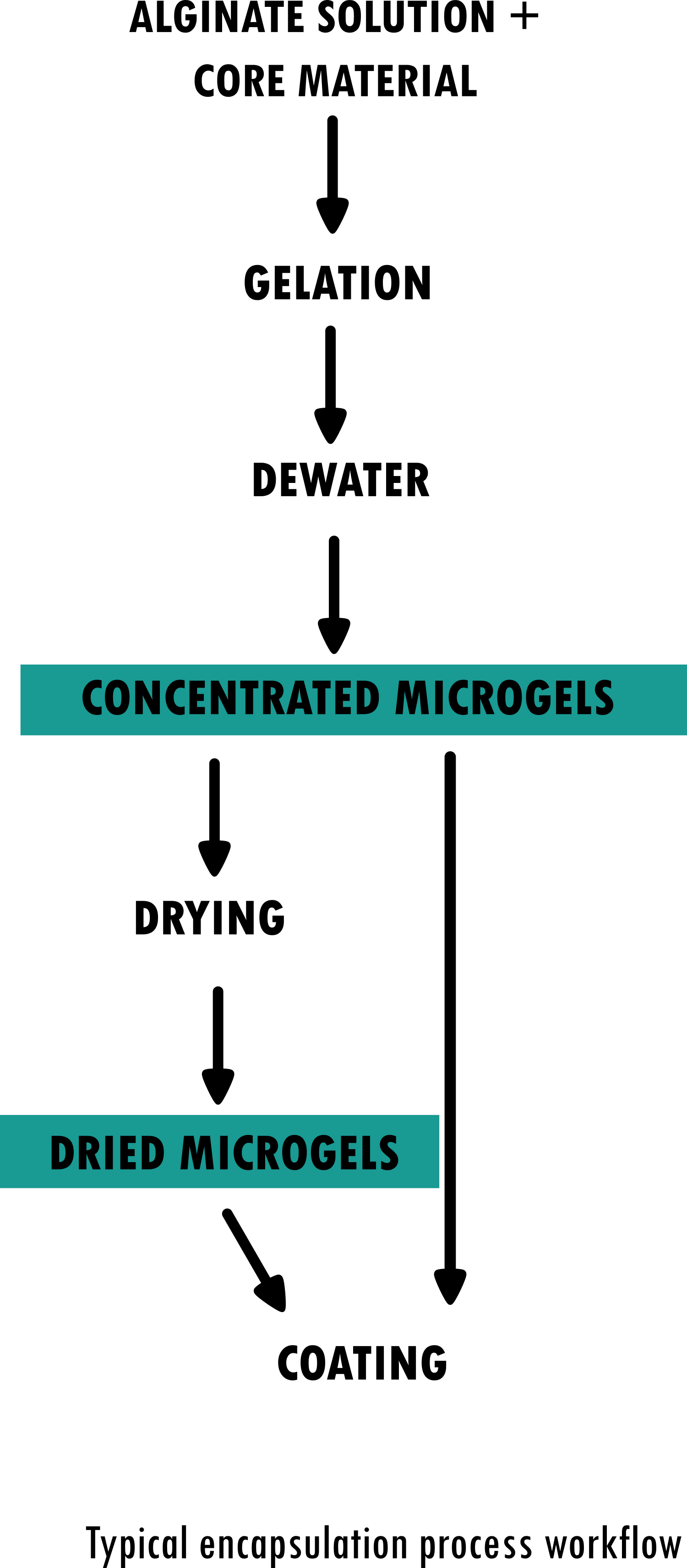 Our technology | Progel